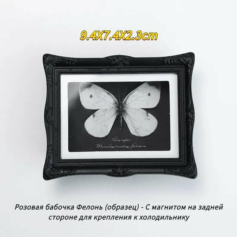 Чучело декоративное Настоящая бабочка в рамке с магнитом и кронштейны для украшения интерьера комнаты, дома, мебели, холодильникаXGQ