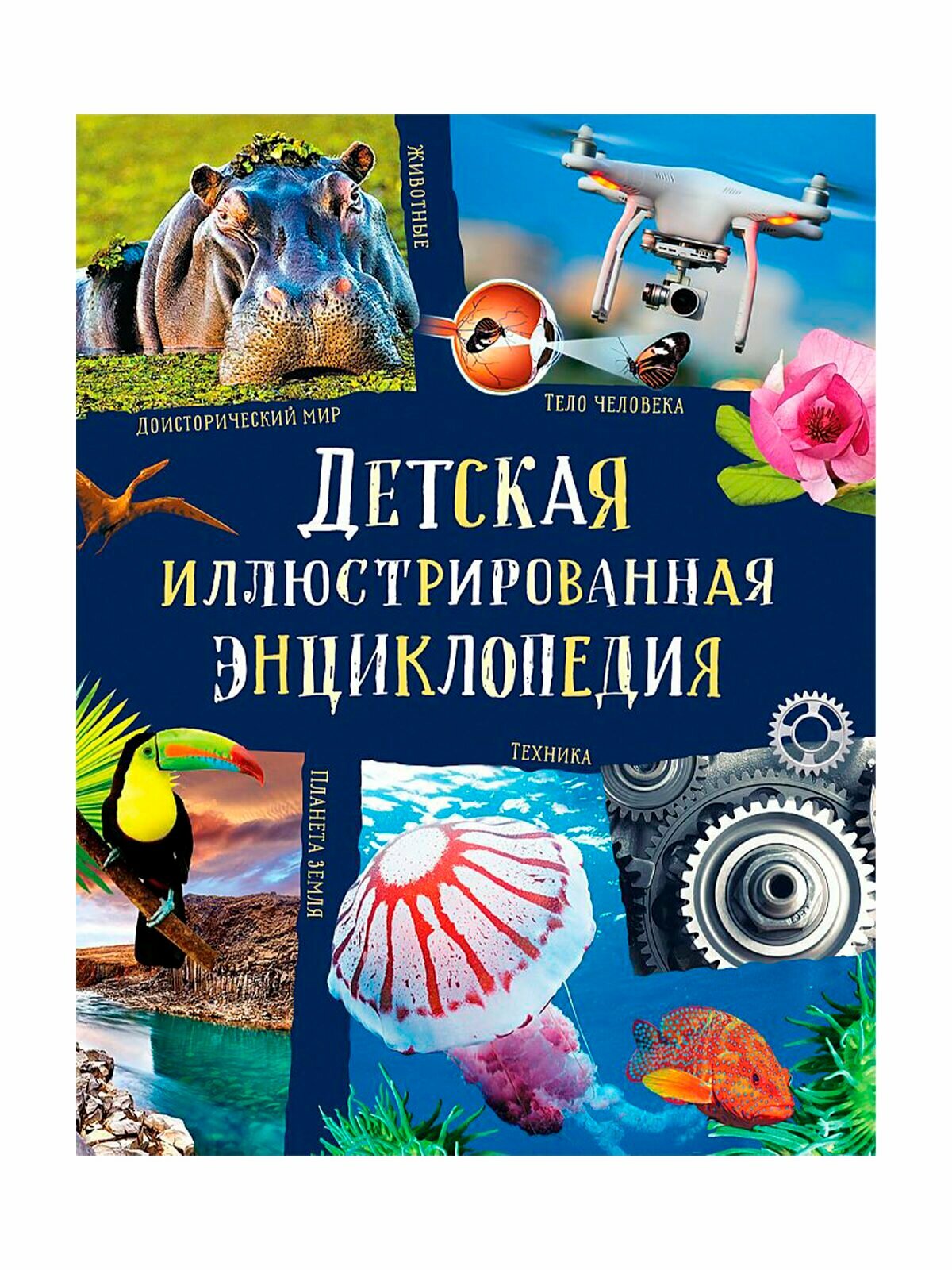 Детская иллюстрированная Энциклопедия Смит Миранда 0+