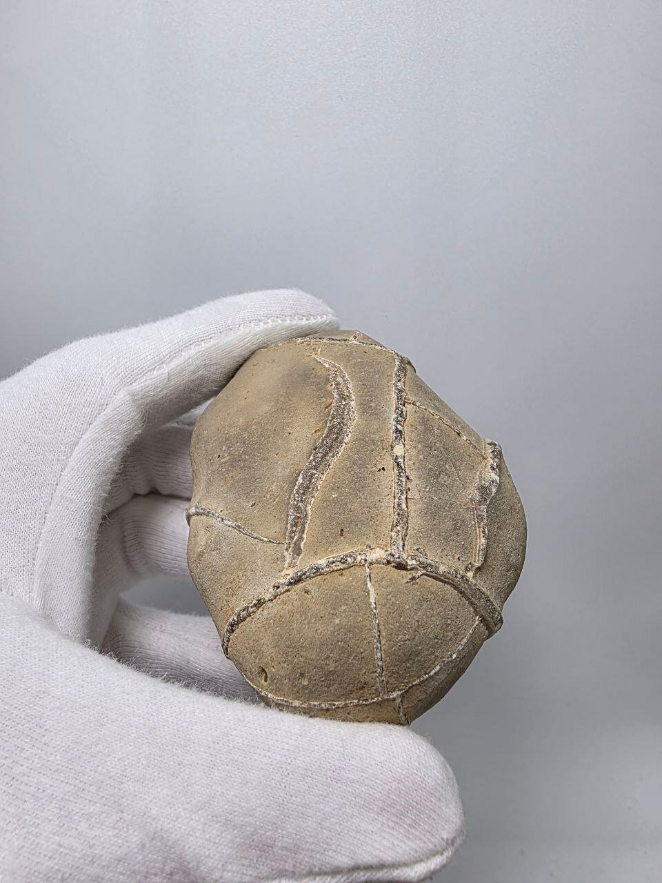 Септария 78 мм, 234 г.