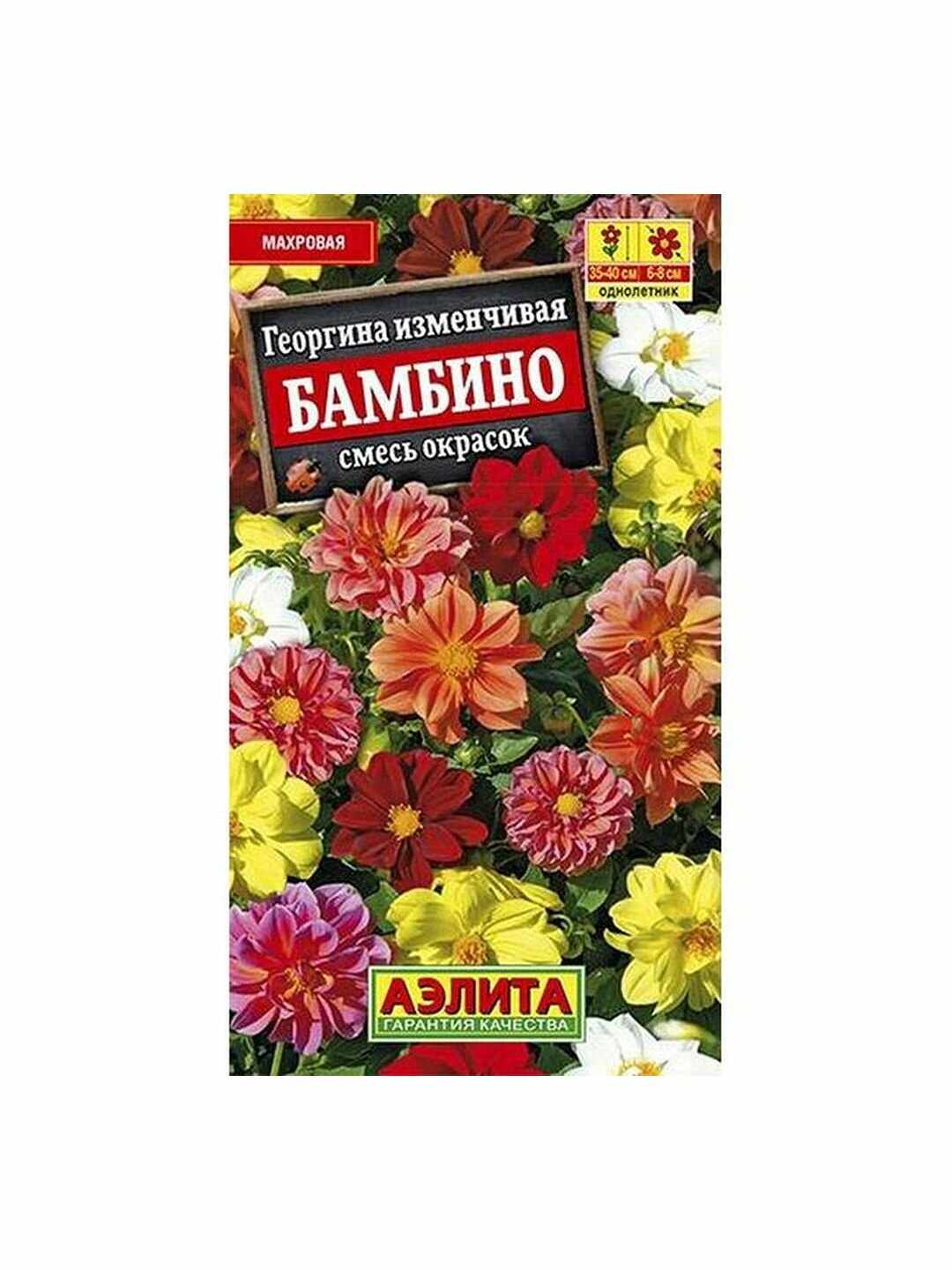 Семена Георгина Бамбино махровая, смесь, однолетник, Аэлита, 1 пачка - 7 семян