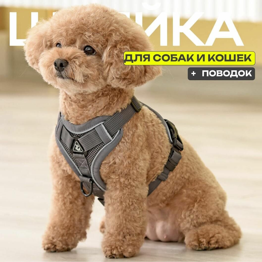 Шлейка