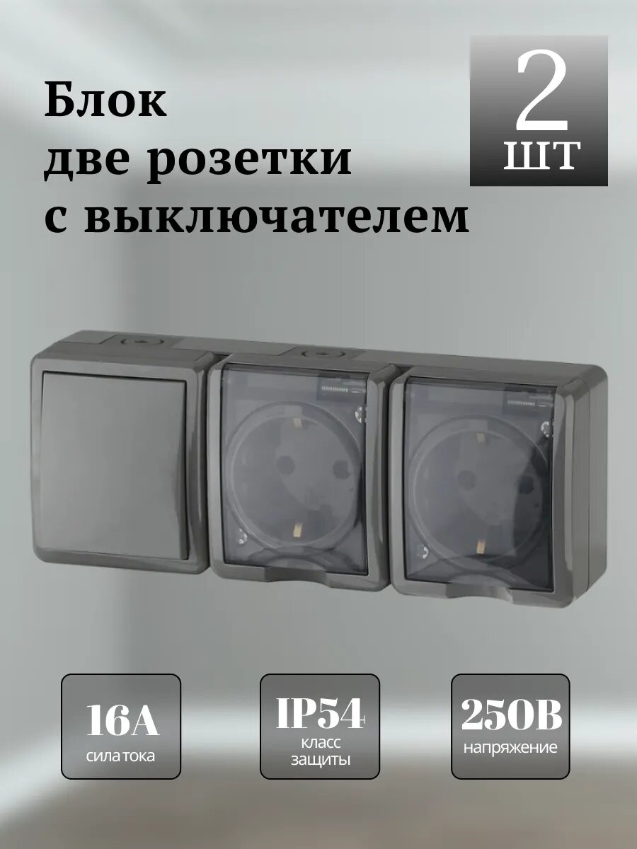 Блок ЭРА Эксперт, с одноклавишным выключателем и двумя розетками, с защитной крышкой, IP54, серый (комплект из 2 шт.)