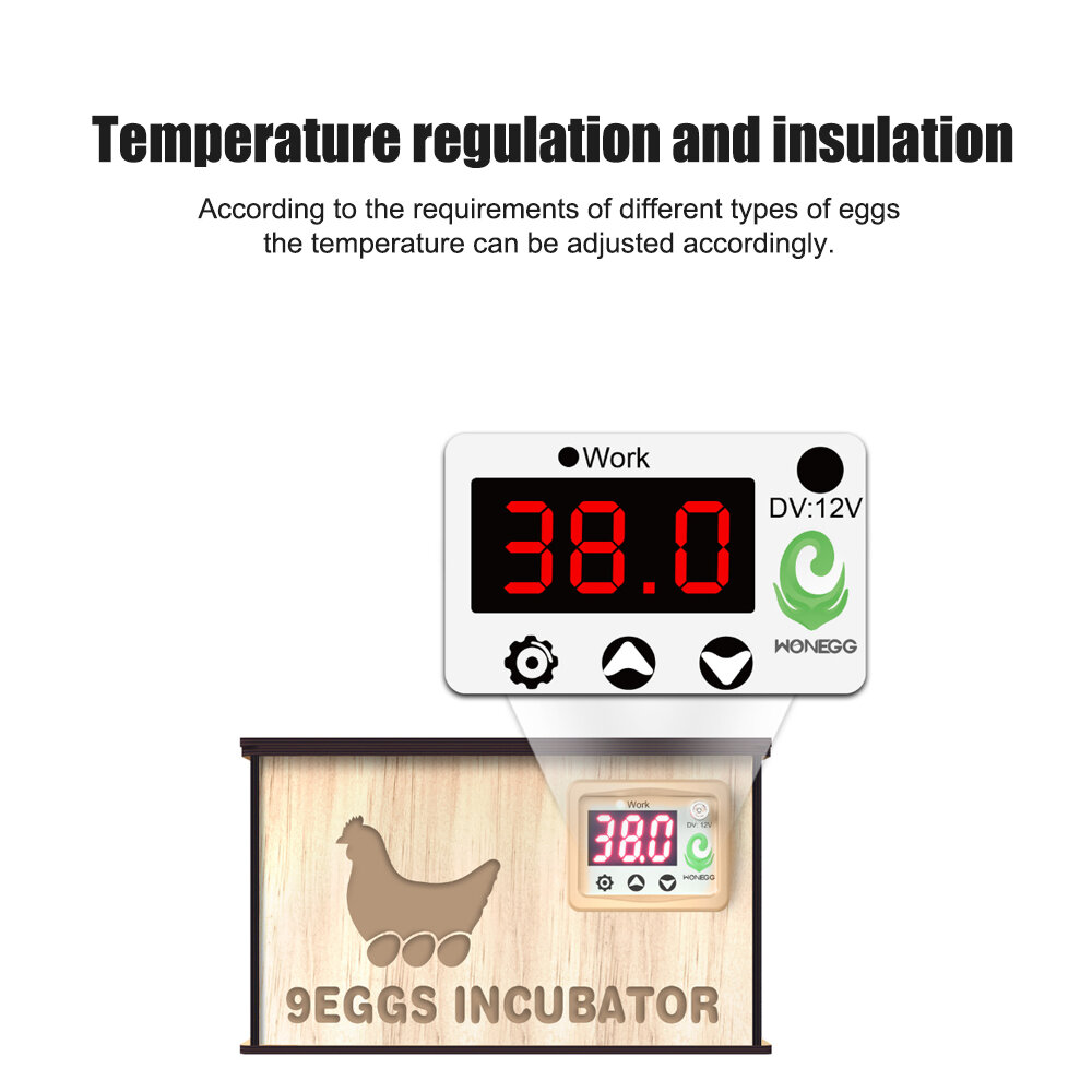Инкубаторы для инкубационных яиц. Деревянный инкубатор на 9 яиц своими руками с контролем температуры. Инкубаторы для куриных яиц, уток, гусей, перепелов, птиц для школы, дома, фермы, детей.