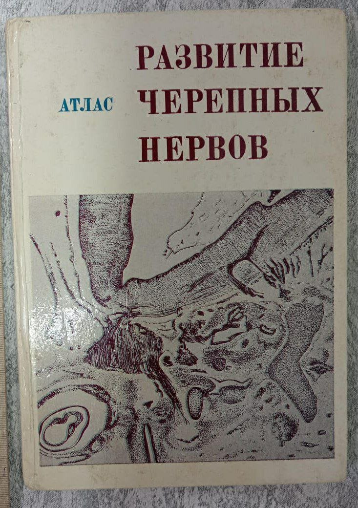 Развитие черепных нервов Атлас