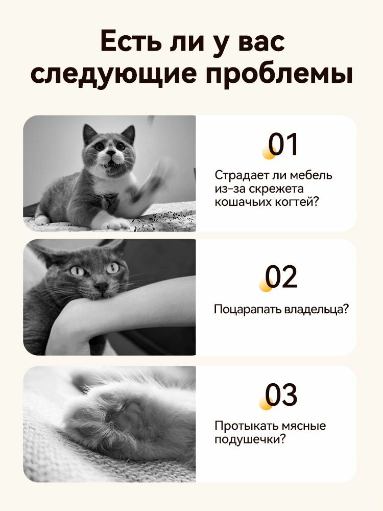 Когтеточка — фото 1