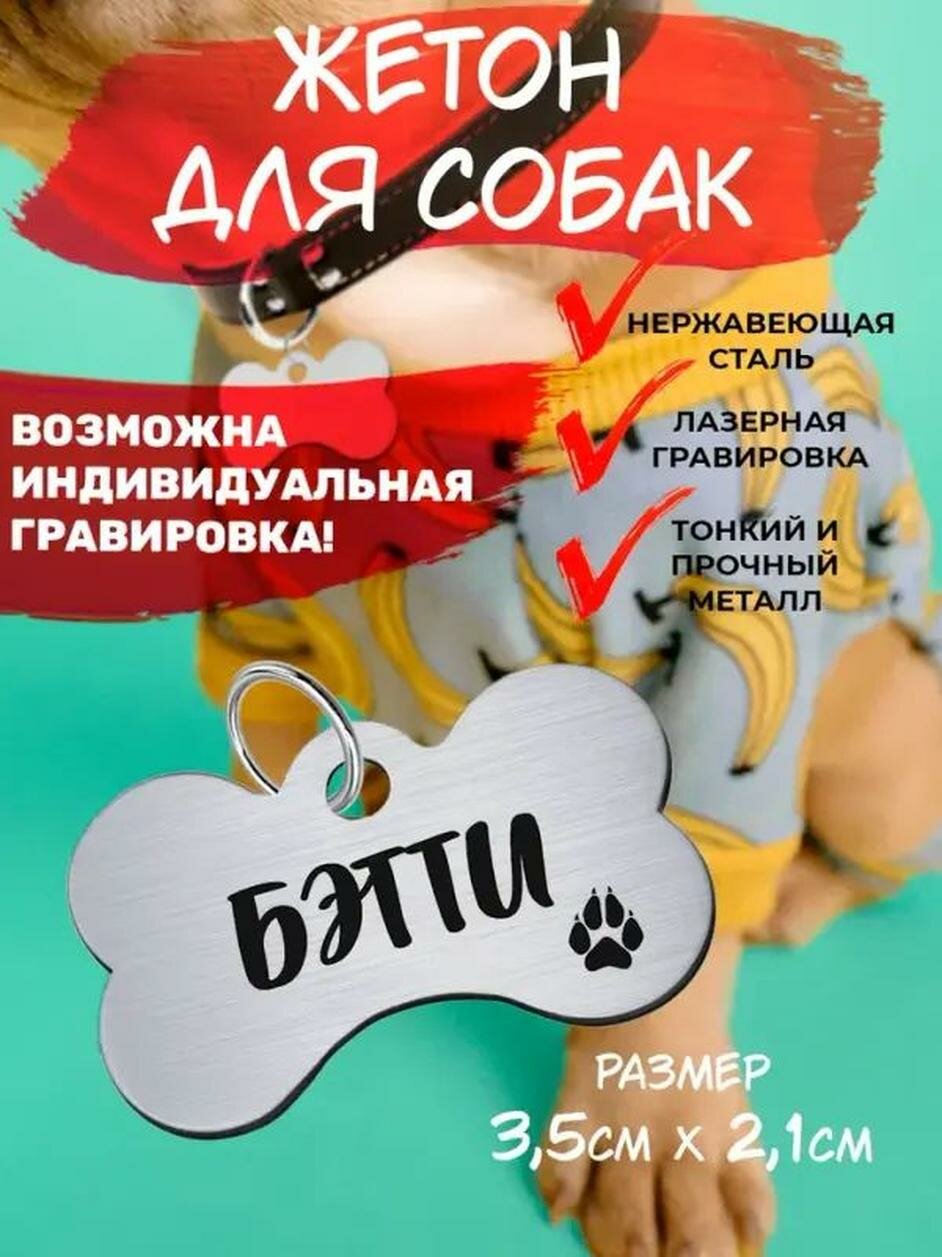 Адресник для собаки с гравировкой, нерж. сталь, серебристый, Бэтти