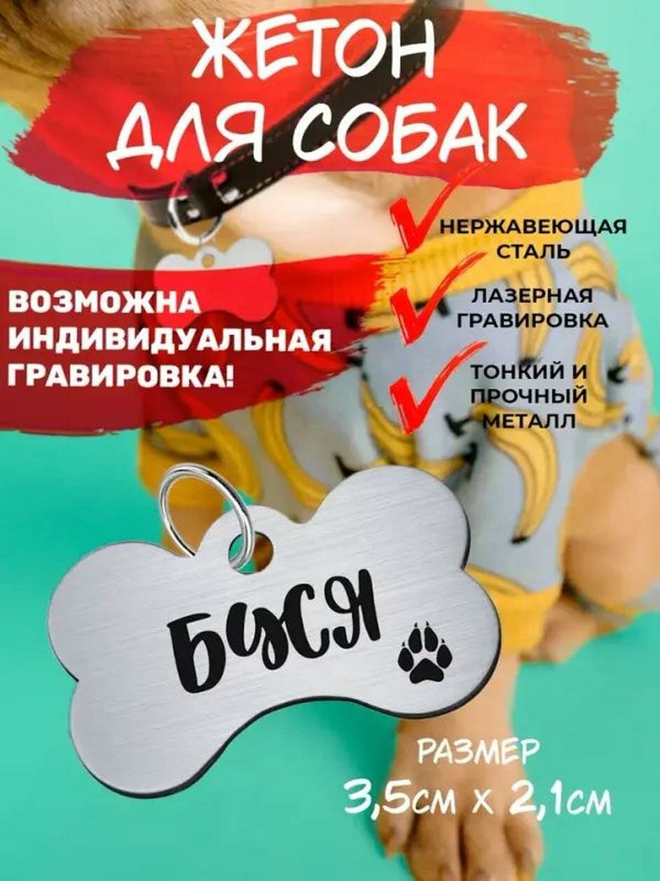 Адресник для собаки с гравировкой, нерж. сталь, серебристый, Буся