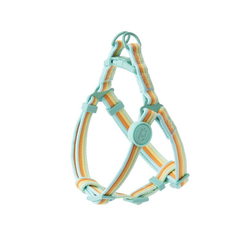 PETSVILLE Pie Thinking Dog Тяговая веревка Соответствие цветов Послеобеденный чай Серия Грудь Спина Шея Кольцо Костюм