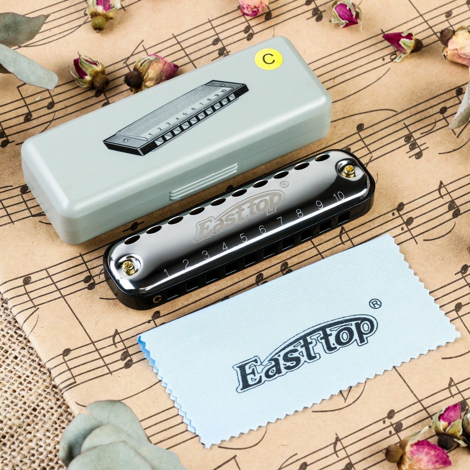 Губная гармошка East top диатоническая, 10 отверстий, с футляром