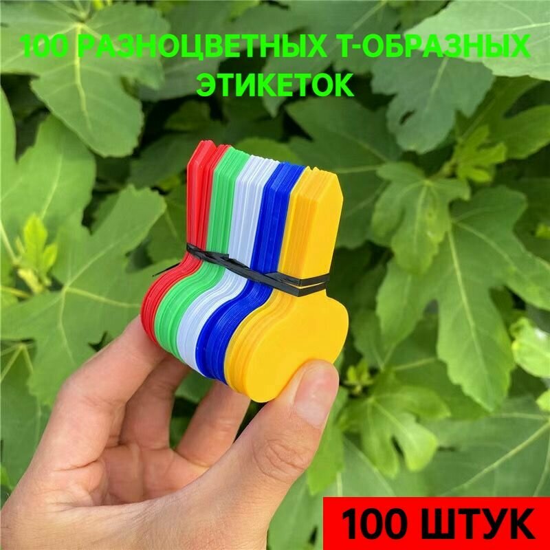 100 Т-образных Этикеток Для Растений В Детском Саду