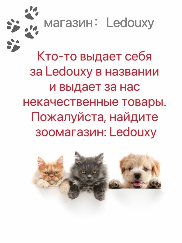 Одежда для животных — фото 1