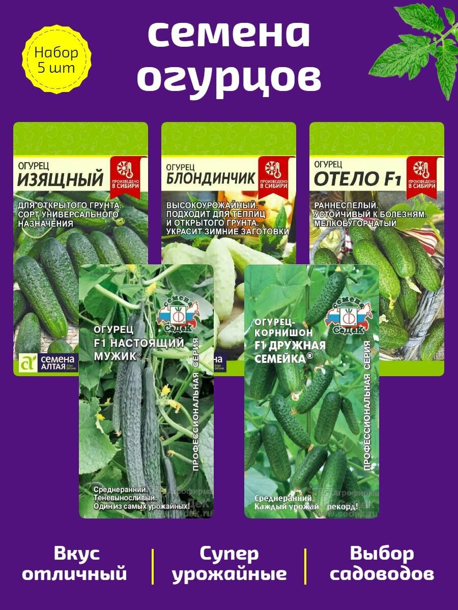 Огурец «Настоящий Мужик F1», «Дружная Семейка F1», «Отелло F1», «Блондинчик», «Изящный». Набор семян 5 шт.
