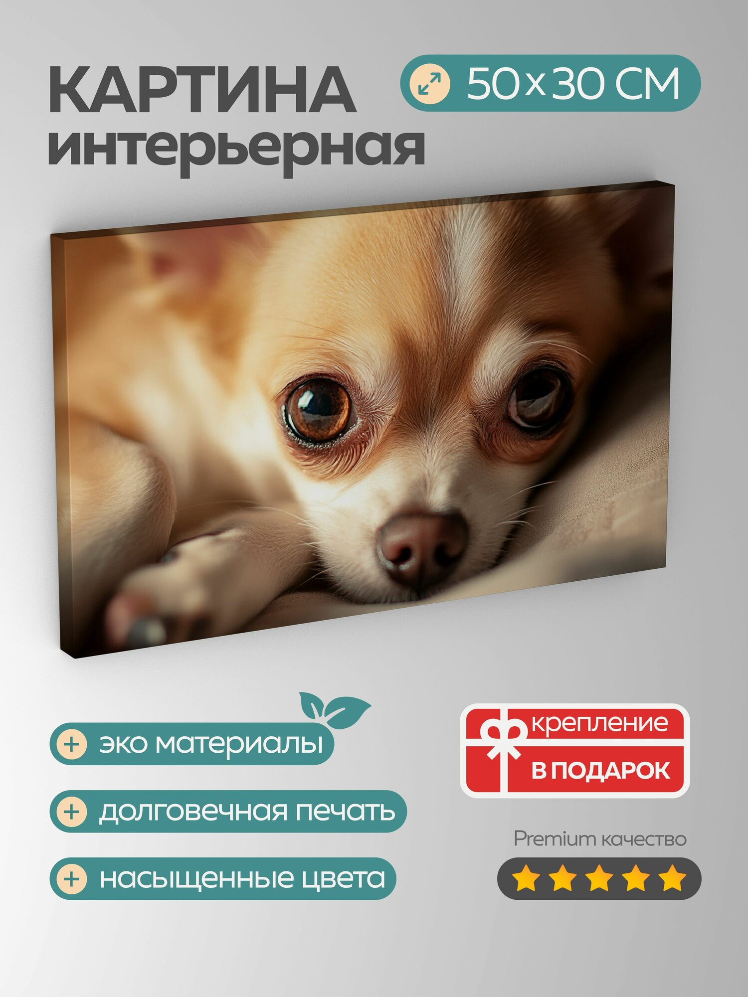 Картина на холсте интерьерная 50х30 см, щенок, чихуахуа, фотография, освещение, глаза, черты лица, детали, масштаб 5:3