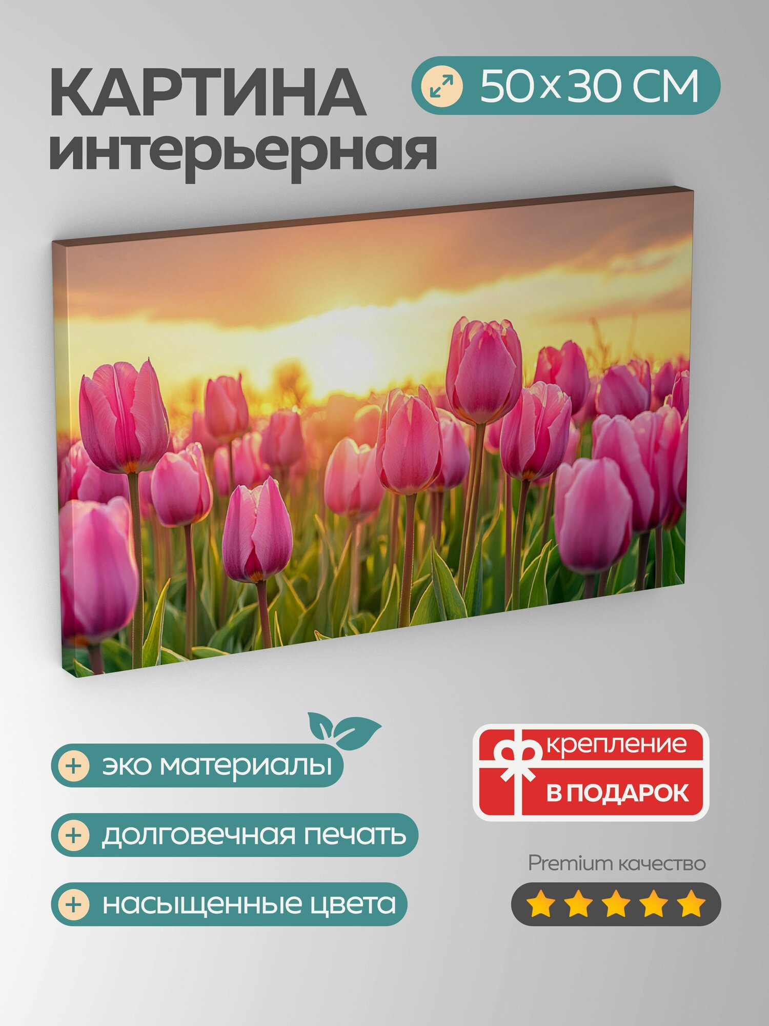 Картина на холсте интерьерная 50х30 см, тюльпаны, розовые, поле, солнце, свет, природа, красота, эйфория, лепестки, фон