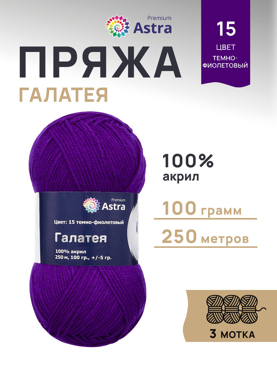 Пряжа для вязания Astra Premium 'Галатея' 100г, 250м (100% акрил) (15 темно-фиолетовый), 3 мотка