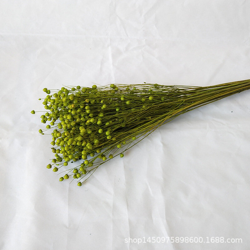 Букет цветов из бобов акации "Сделай сам", для рукоделия, 50 г