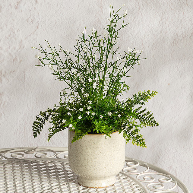 Искусственный цветок в горшке Аспарагус 28 см, Summer Deco, 5010065