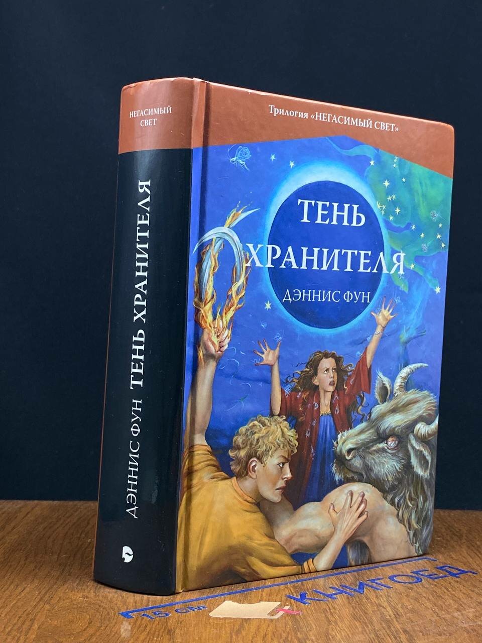 Книга. Тень Хранителя 2011 (2043981332331)