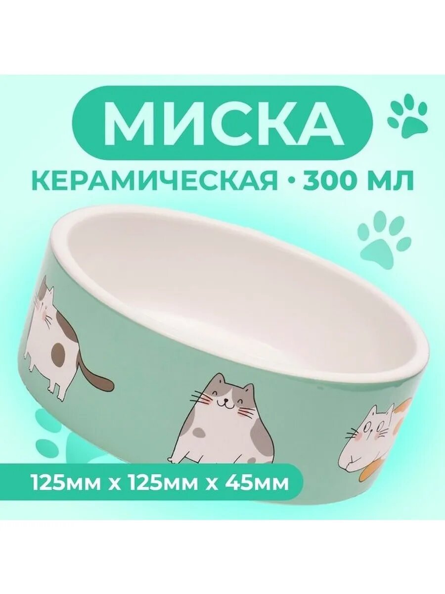 Миска керамическая "Котяры" 300 мл 12,5 x 4,5 cм, бело-зелё