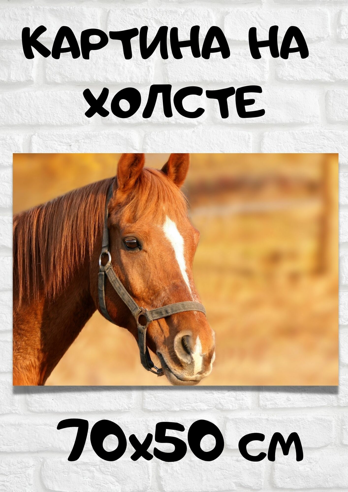 Готовая картина с красивой лошадью на природе / Конь картина