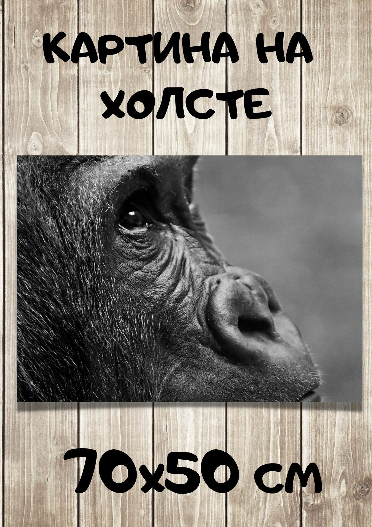 Картина с дикими животными "Горилла" 70х50 см