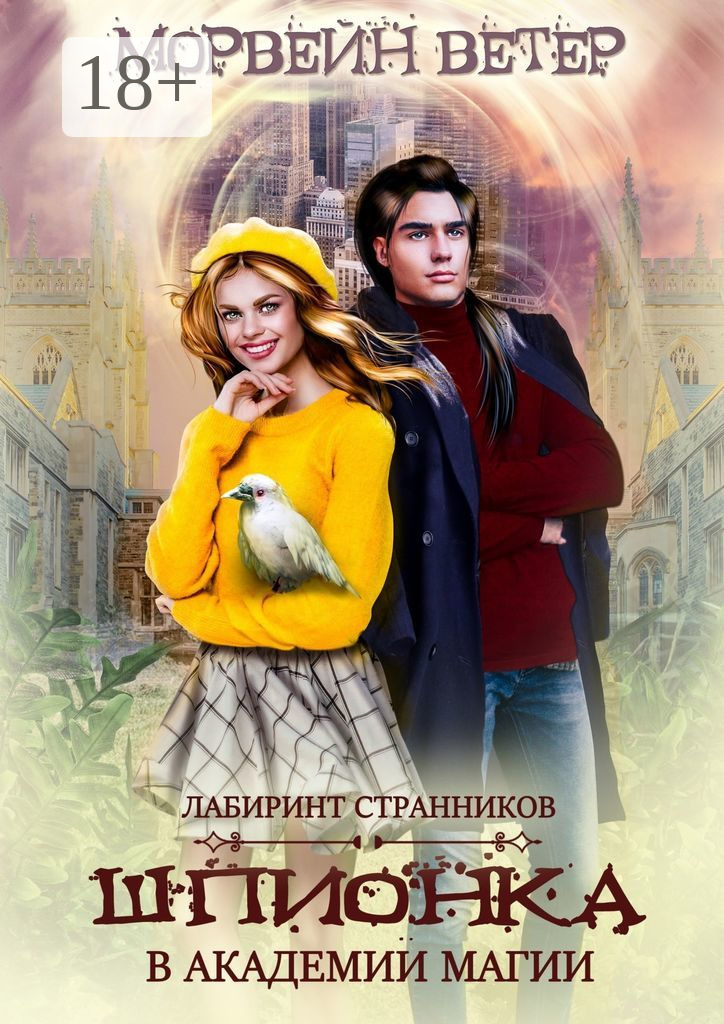 Шпионка в академии магии