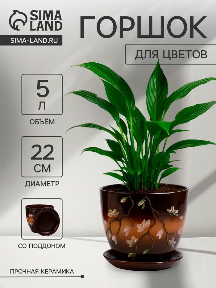 Горшок для цветов Миндаль , 5 л, d 22 см, h 22 см, керамика, с поддоном, коричневый