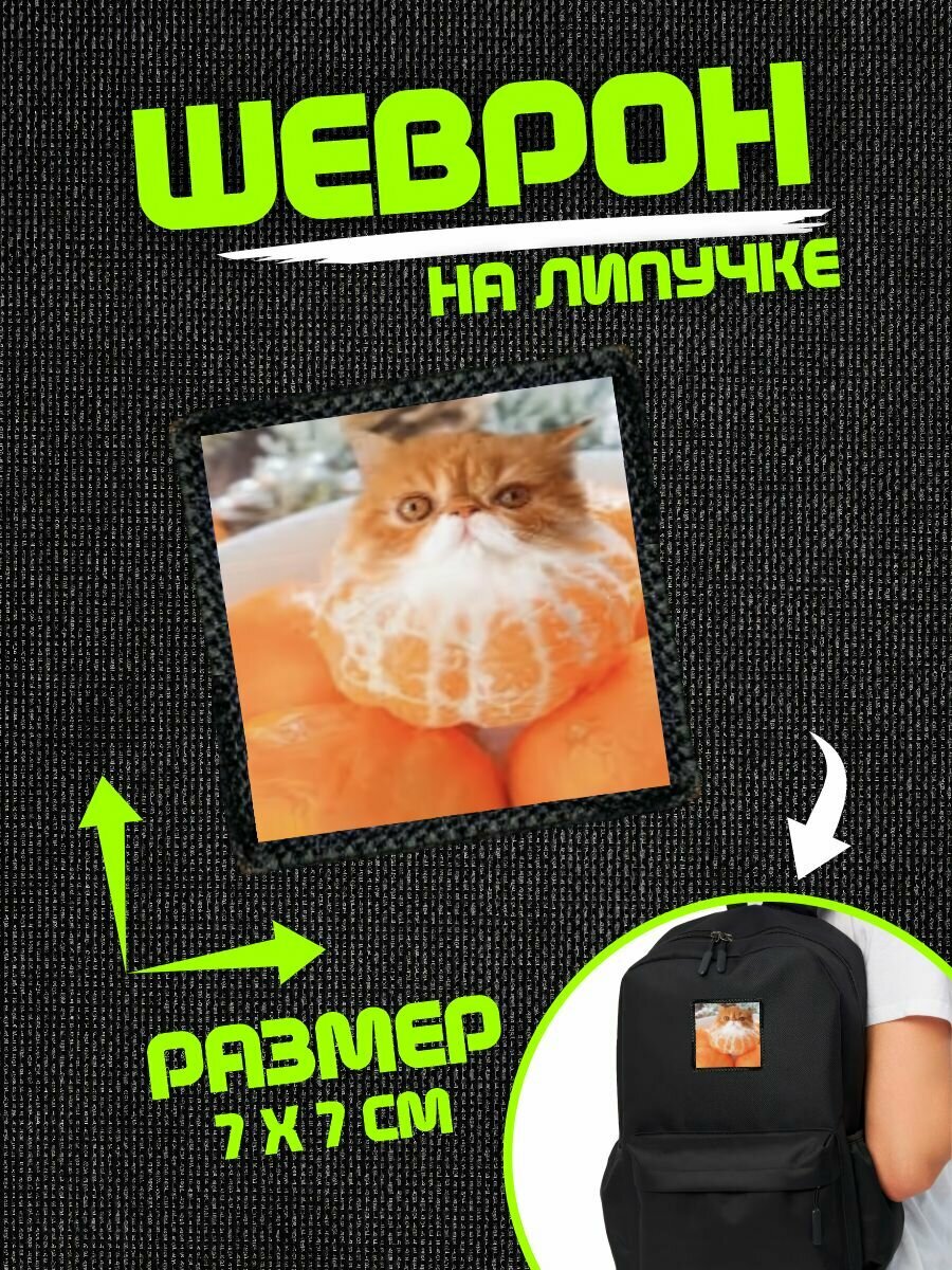 Шеврон на липучке нашивка Кот