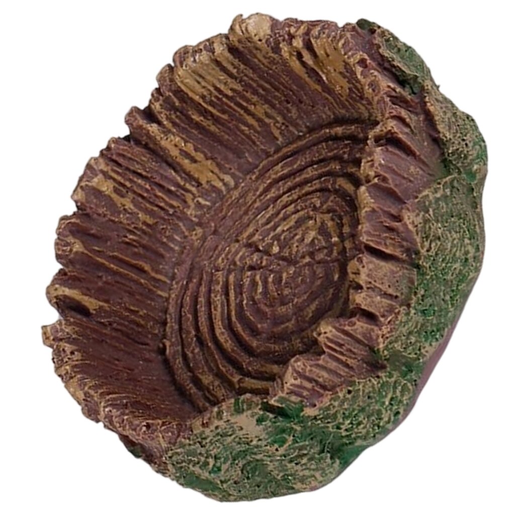 Домашняя черепаха / черепаха / Рептилия, ящерица, бассейн для змей-тип сваи из пальмового дерева