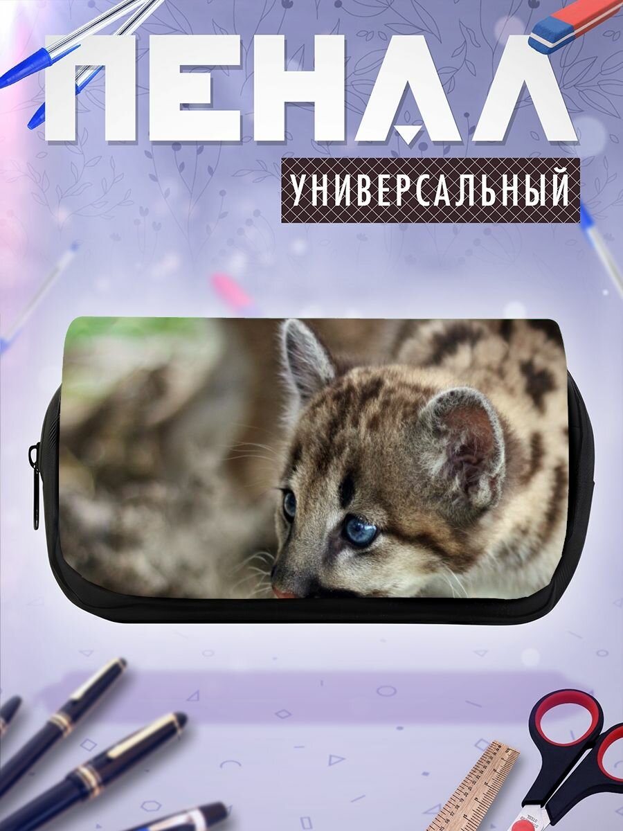 Школьный пенал кот Лев