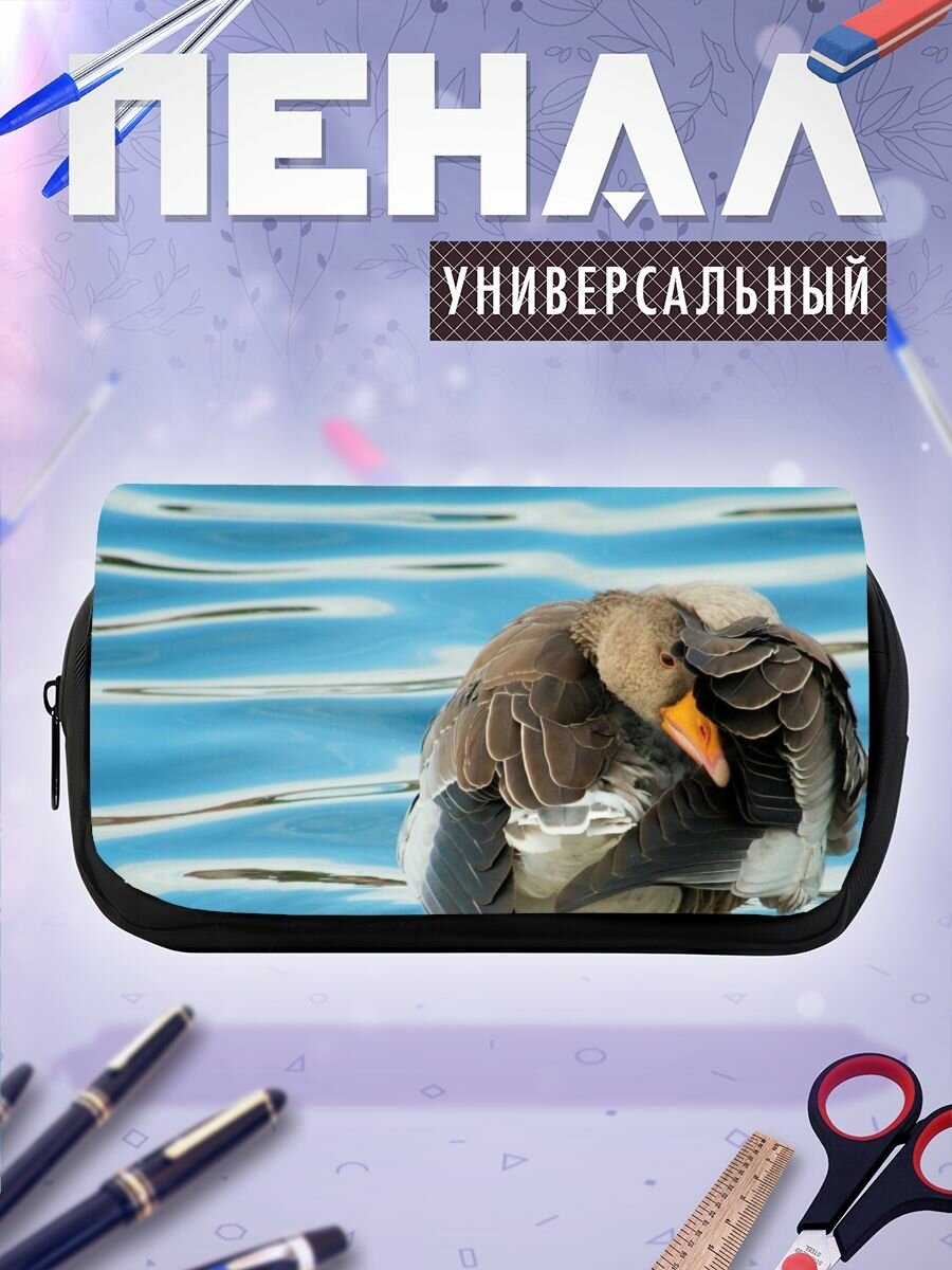 Школьный пенал утка водоплавающие птицы