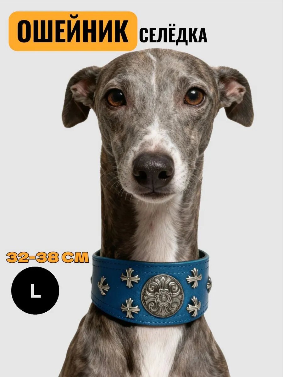 Dogbond ошейник-селедка для малых и средних пород