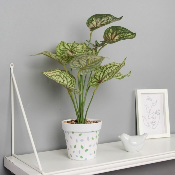 Цветок искусственный КНР Аглаонема сильвер, в горшке, 11х33 см, зелёный