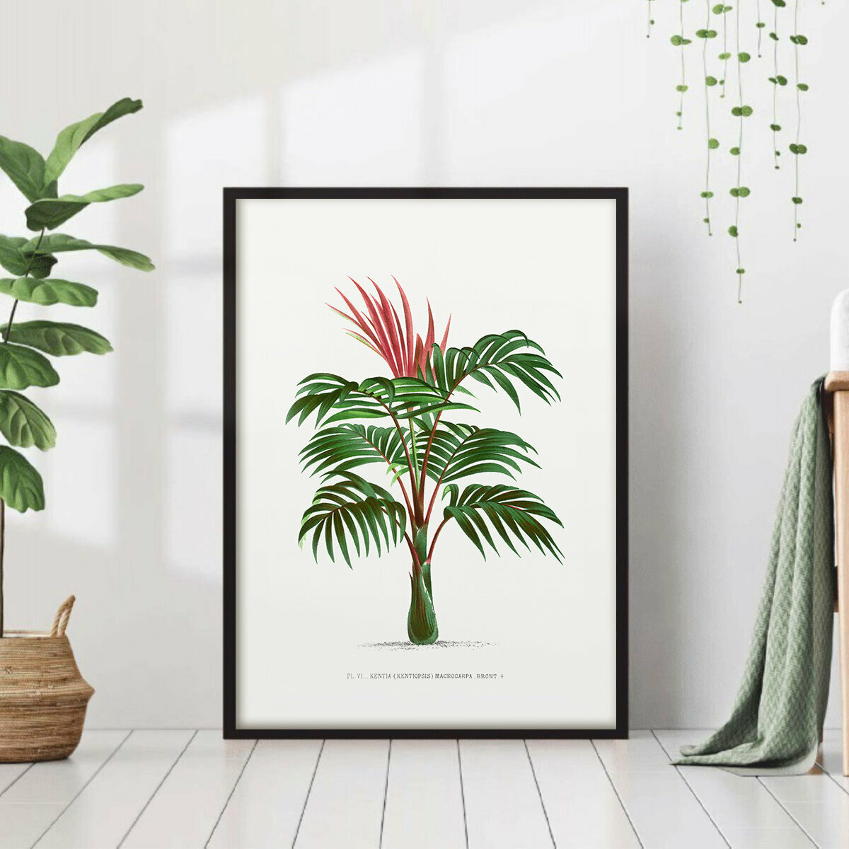 Постер "Пальма рисунок" 40x50 в черной рамке на стену для интерьера