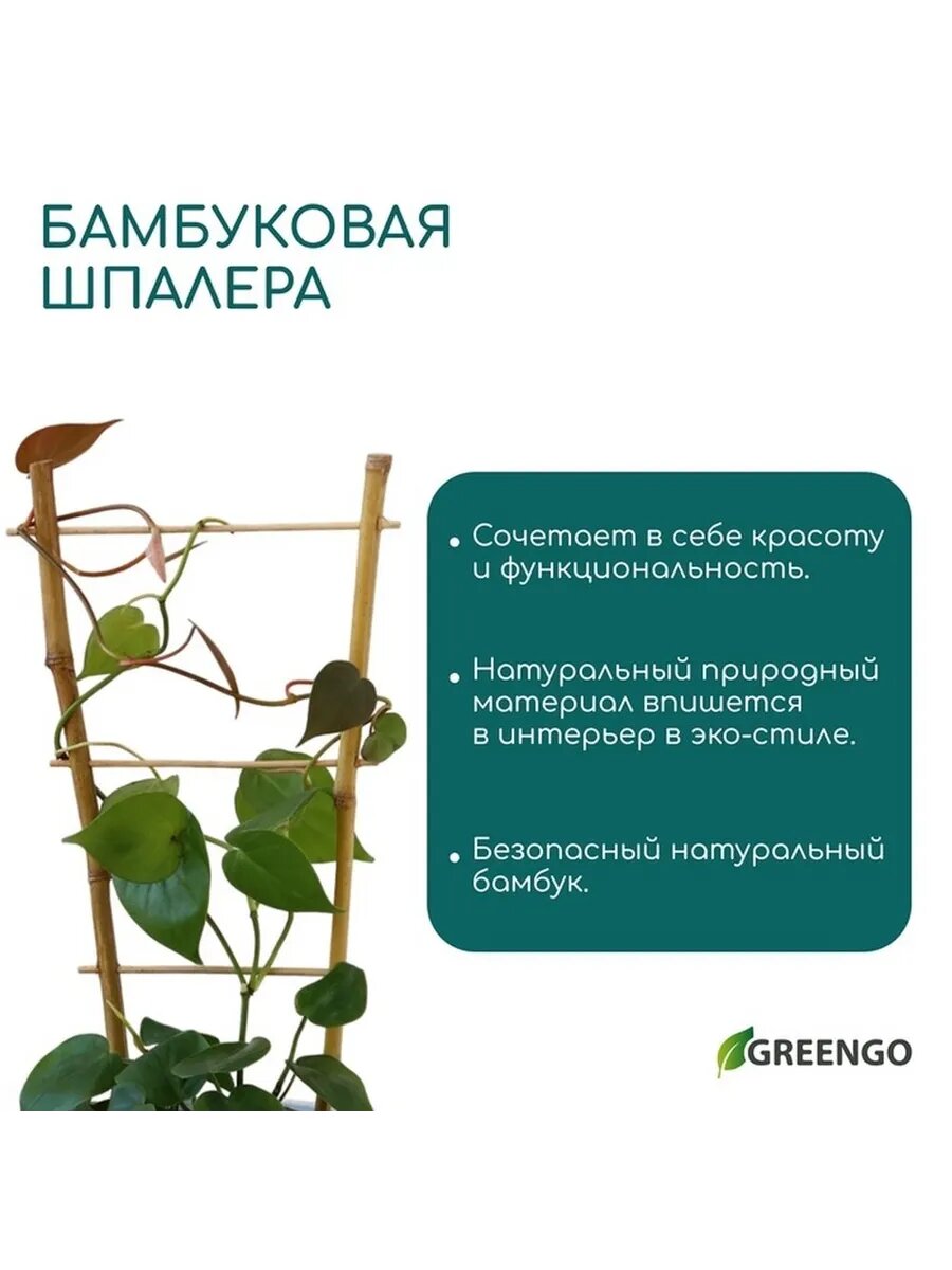 Натуральная шпалера для растений из бамбука