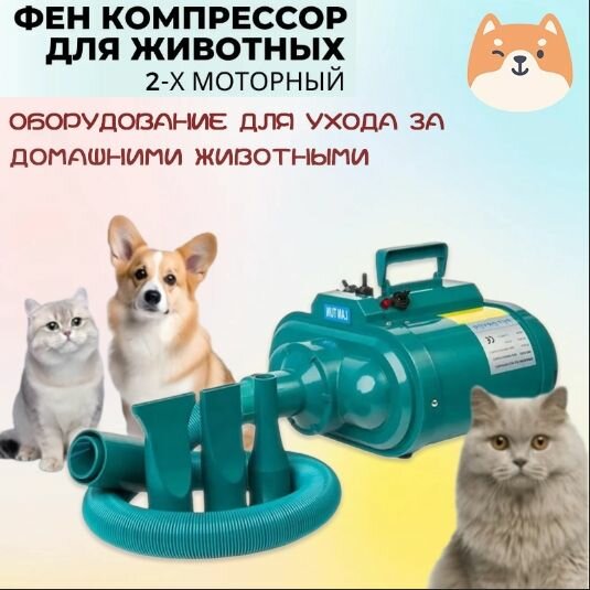 Фен компрессор для собак LanTun 1090 C-H 3600вт