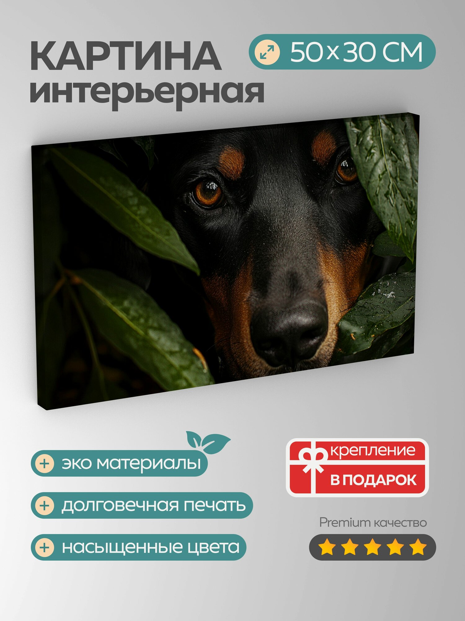 Картина на холсте интерьерная 50х30 см, доберман, черно-подпалая шкура, Sony G Master 24-70mm, разрешение 50 мм, f, 2.8