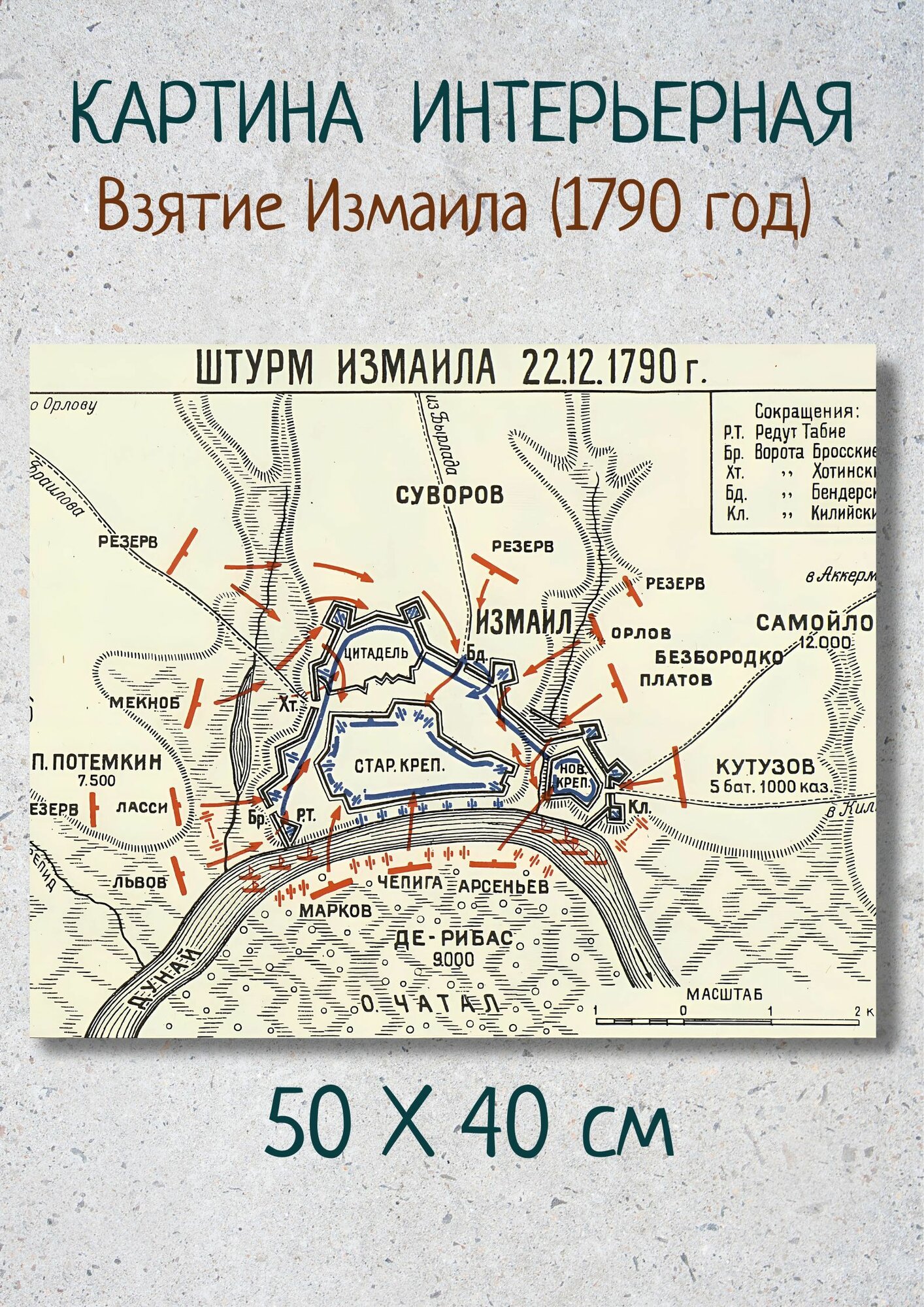 Картина с исторической схемой "Взятие Измаила 1790 год" 50х40 см