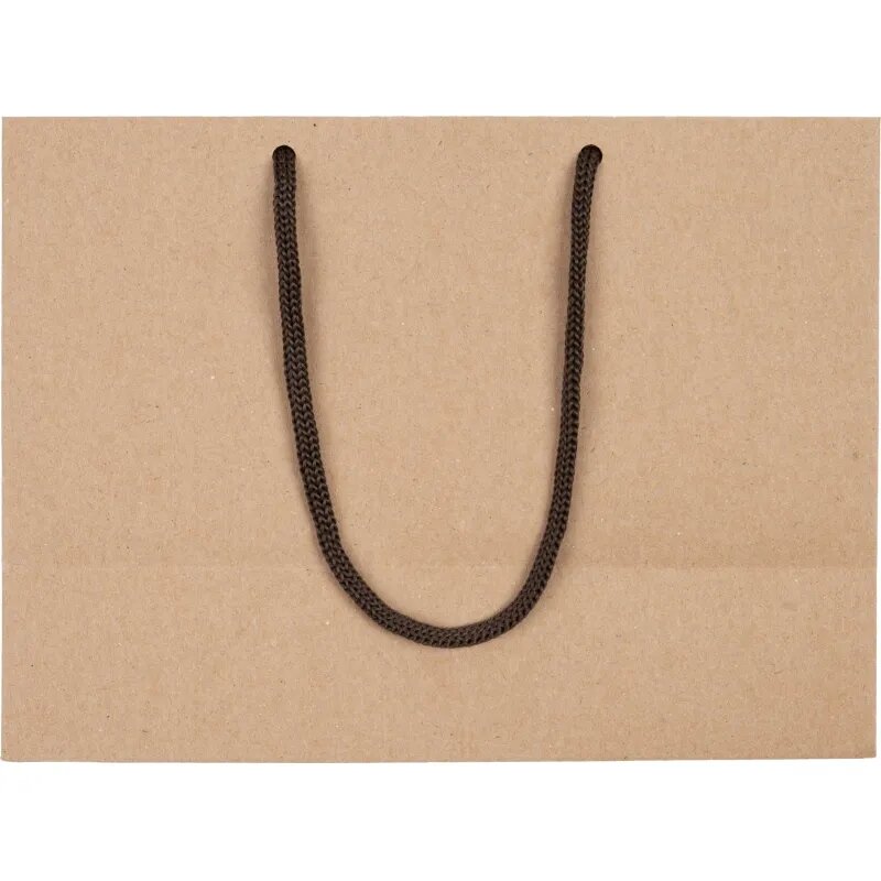 Пакет подарочный Крафт, S, 23х17х10см, неокрашенный, 7556.00 Проект 111 1736777