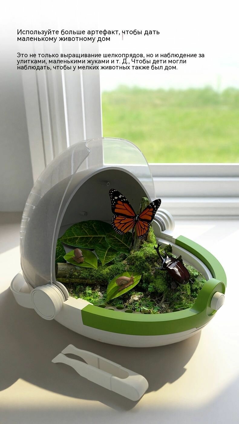 Ящик для наблюдения за насекомыми