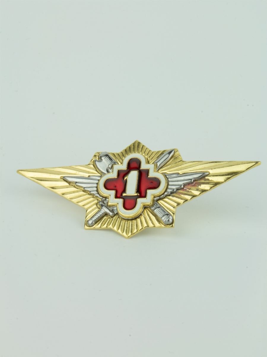 Знак классность фсин 1 класс