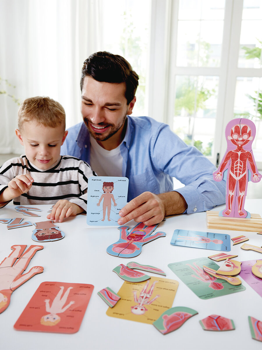 Магнитный обучающий пазл для детей Hape "Строение тела человека", 6 картинок, 60 элементов E1652_HP