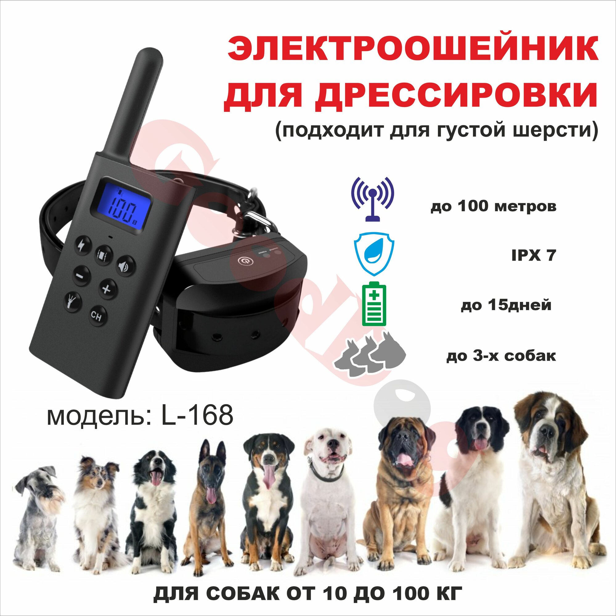 Электронный ошейник для собак L-168 + кулон-адресник ( электроошейник для дрессировки средних и крупных пород)