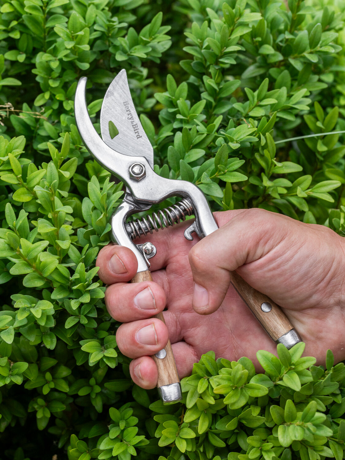 Секатор садовый из нержавеющей стали с деревянной ручкой Berry&Bird