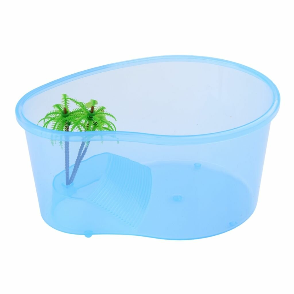 (1 шт.) Маленький аквариумный экологический аквариум для голубых черепах с сушильным столом (добавьте круг из пузырчатых пакетов и запечатайте обеих сторон)