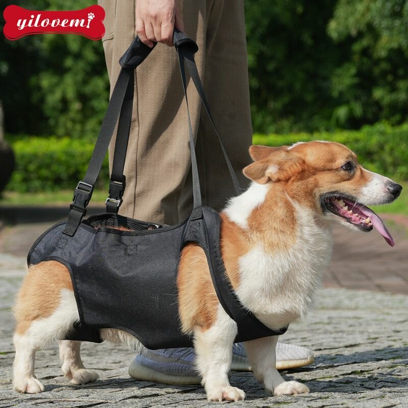 Ходунки для собак, поддержка задних лап пожилых и травмированных собак. Поддерживающая шлейка, разме