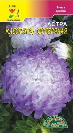 Семена Астра Клеопатра Серебрянная Цветущий сад