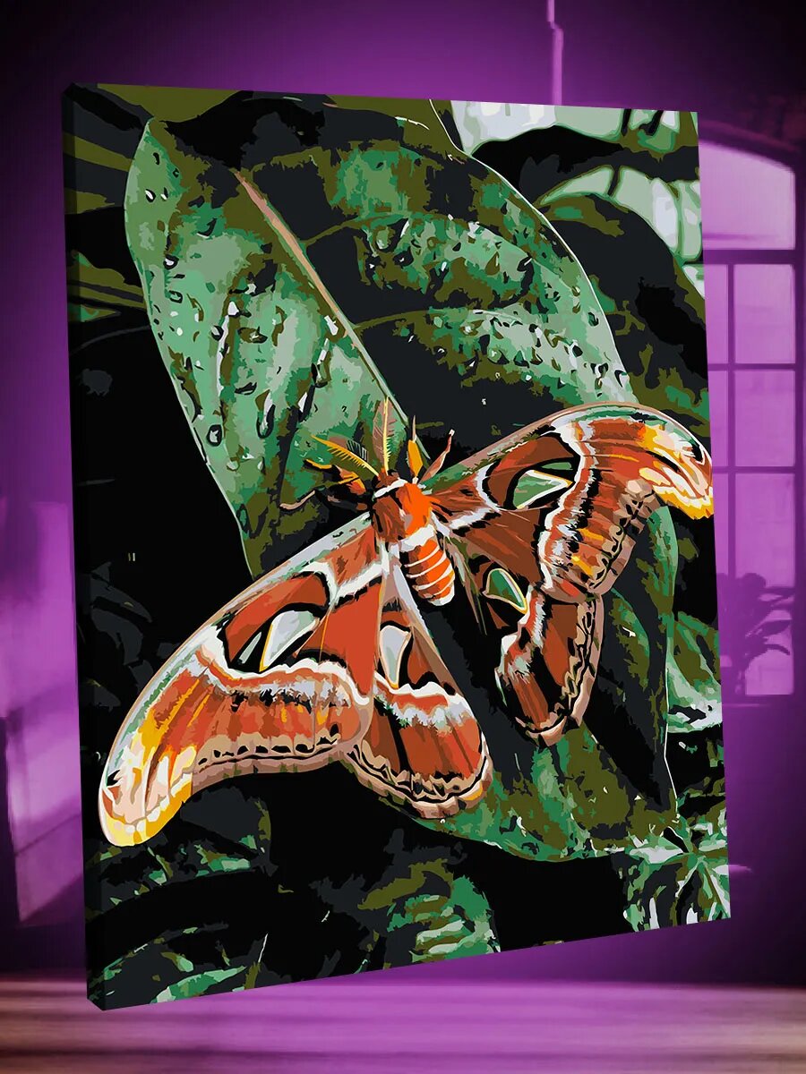 Картина по номерам Бабочка