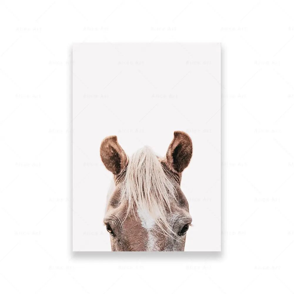 Настенная картина лошадь канвас Белый, 3, 40x50cm No Frame