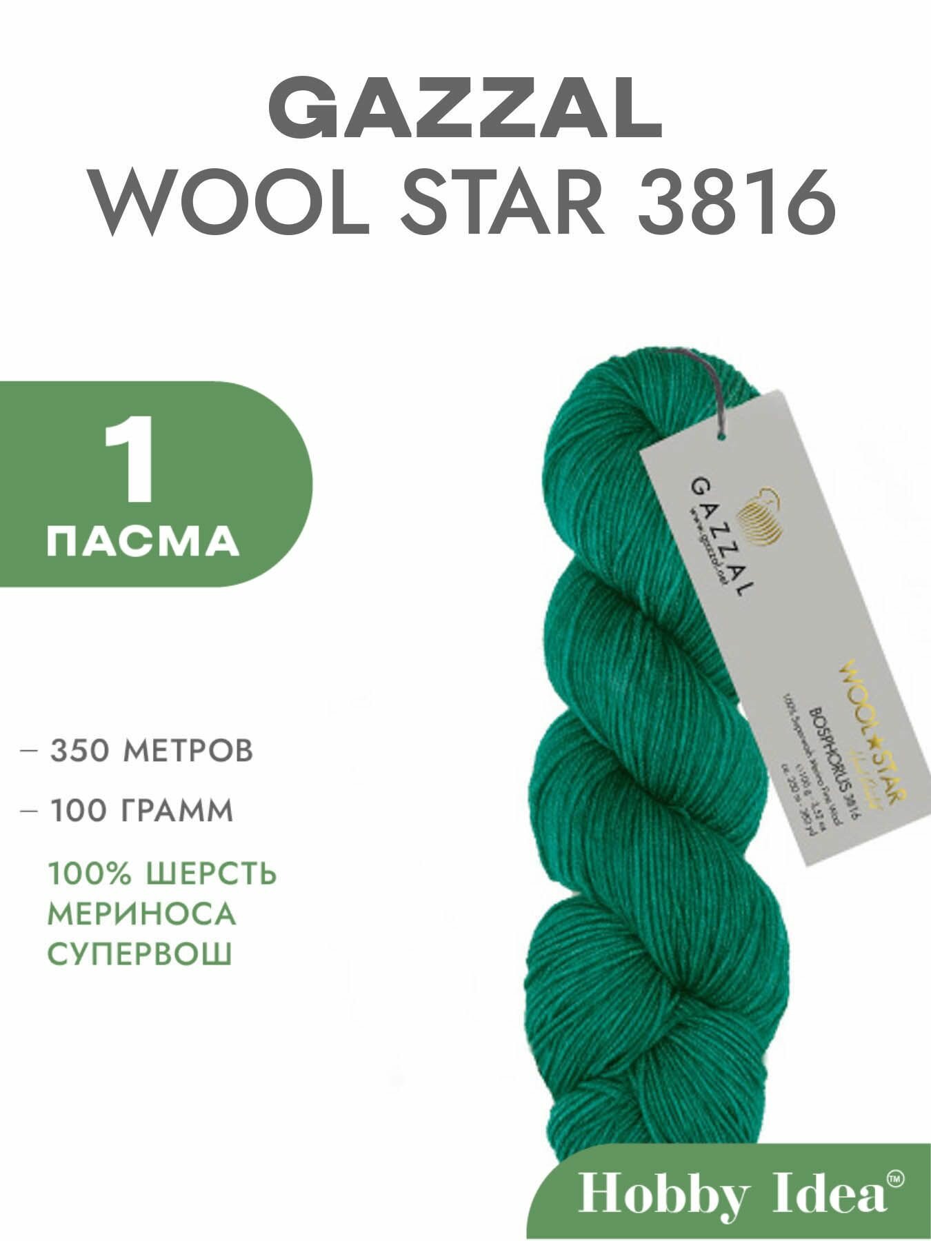 Пряжа Gazzal Wool Star 3816 Изумрудный 1 пасма (Мериносовая пряжа в пасмах Газзал Вул Стар)